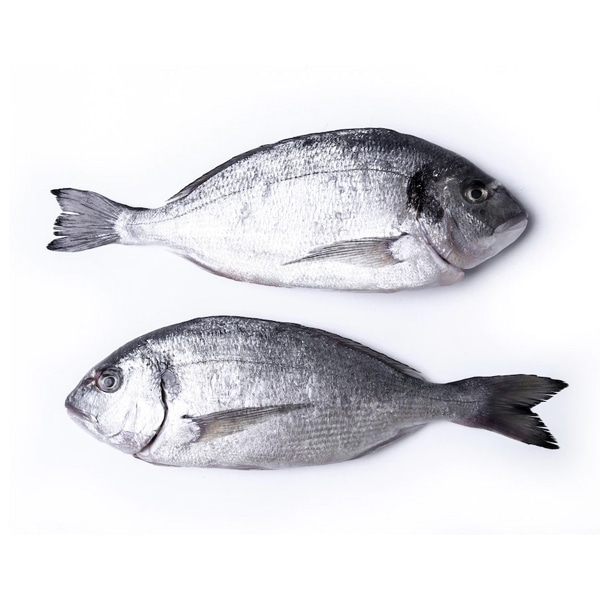 JDs Market – One-stop shop for all your needs. Quality products, great ...